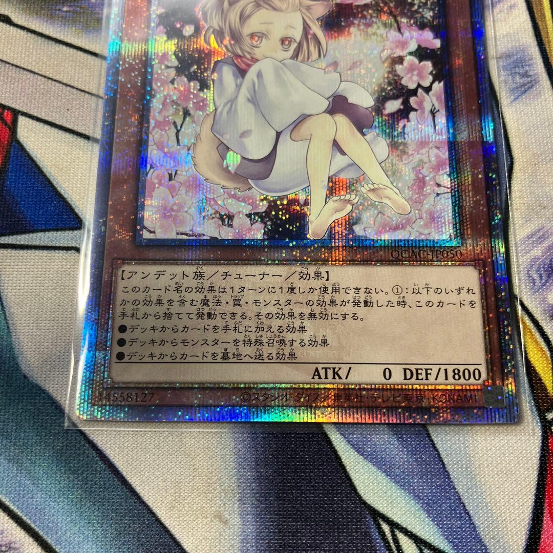 遊戯王OCG 灰流うらら 25 はるうらら