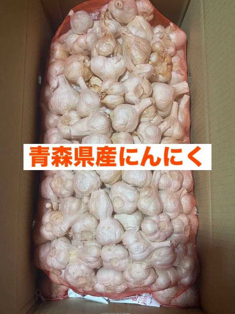 青森県産にんにく　加工　中　１０ｋｇ　お買い得品