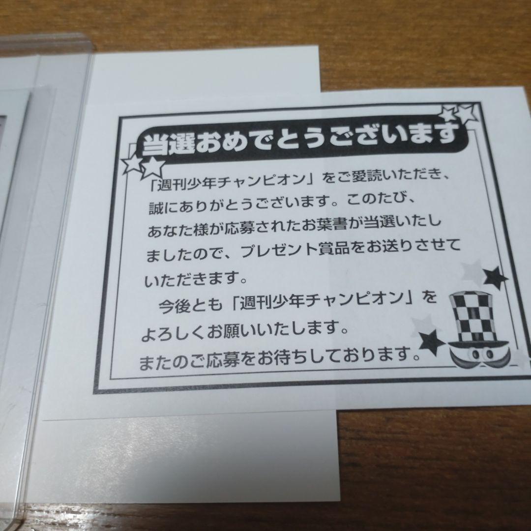 桃月なしこ　サイン入りチェキ　当選品