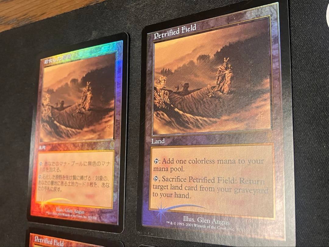MTG【石化した原野/Petrified Field】foil ODY