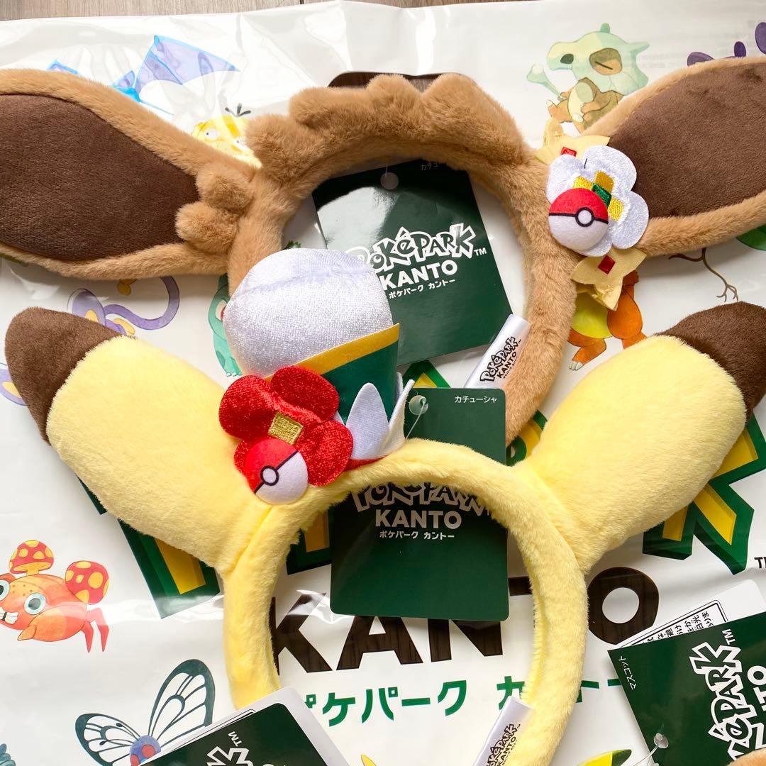 ポケパーク カントー カーニバル衣装 ピカチュウ ・ イーブイ グッズ セット