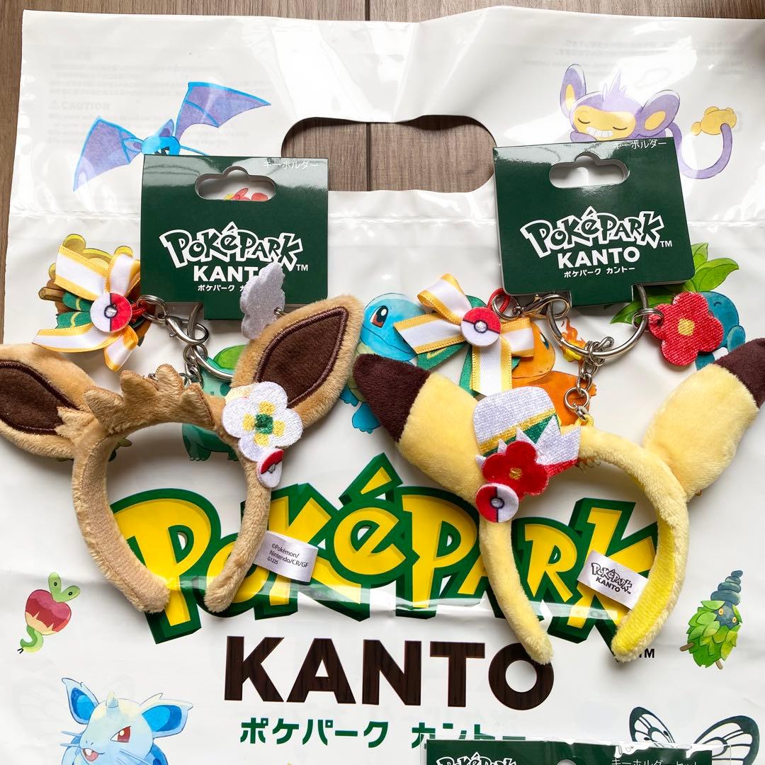 ポケパーク カントー カーニバル衣装 ピカチュウ ・ イーブイ グッズ セット