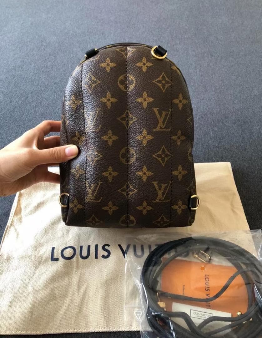 LOUIS VUITTON パームスプリングス バックパック M44873