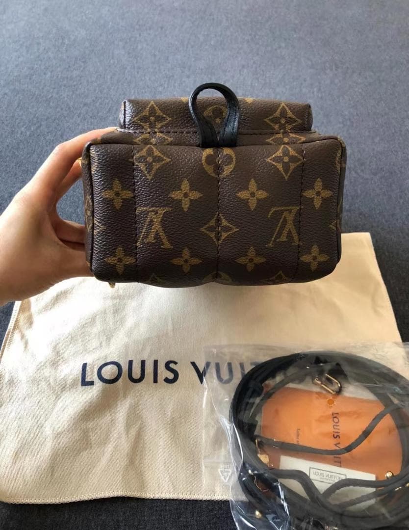 LOUIS VUITTON パームスプリングス バックパック M44873