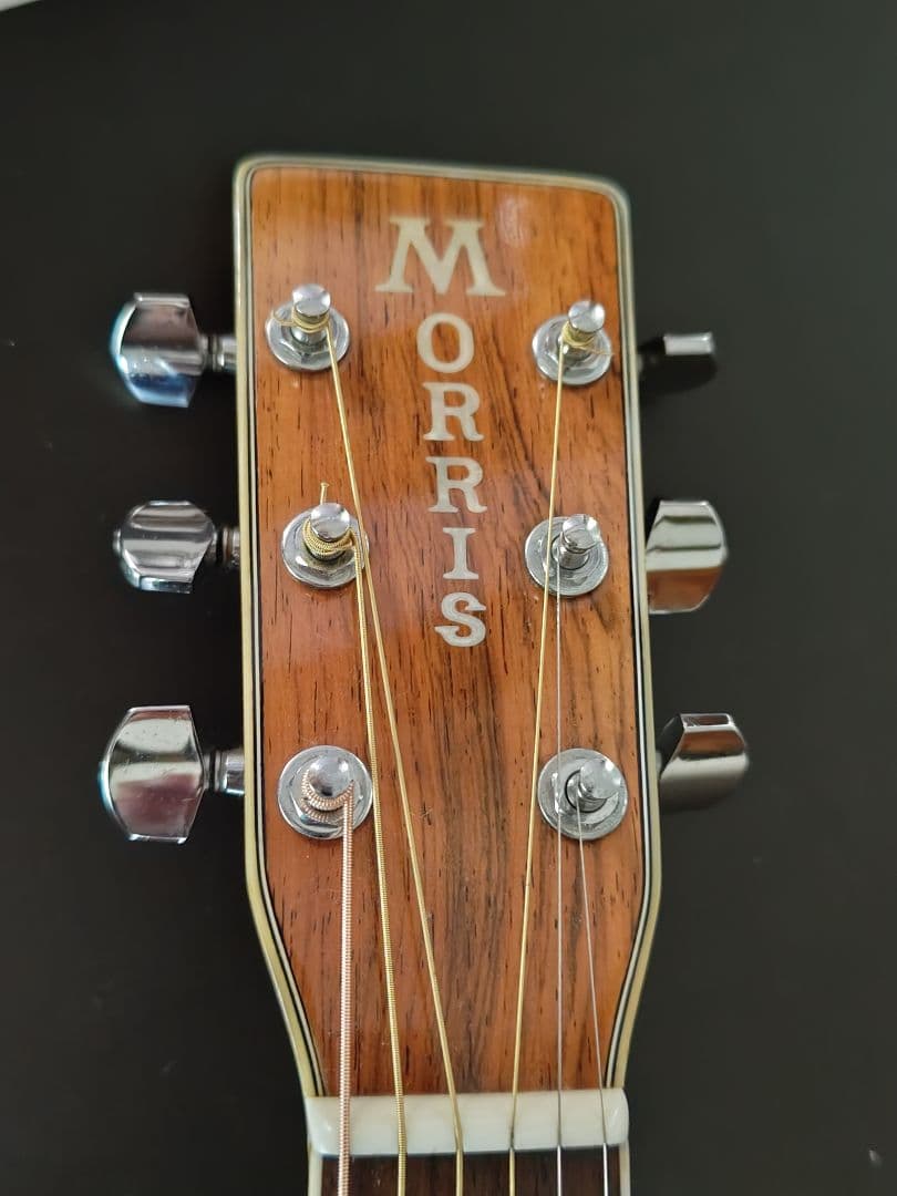 Morris W40 ビンテージ サンバースト コレクター