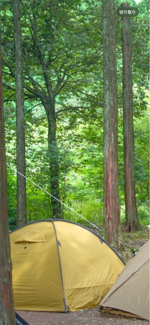 ヒルズフィールド　クロスワン　伊豆のぬし釣り
