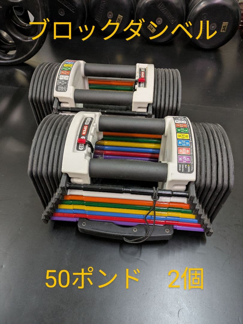 パワーブロックタイプ　可変式ダンベル　50ポンド2個　【手渡し限定】中古品