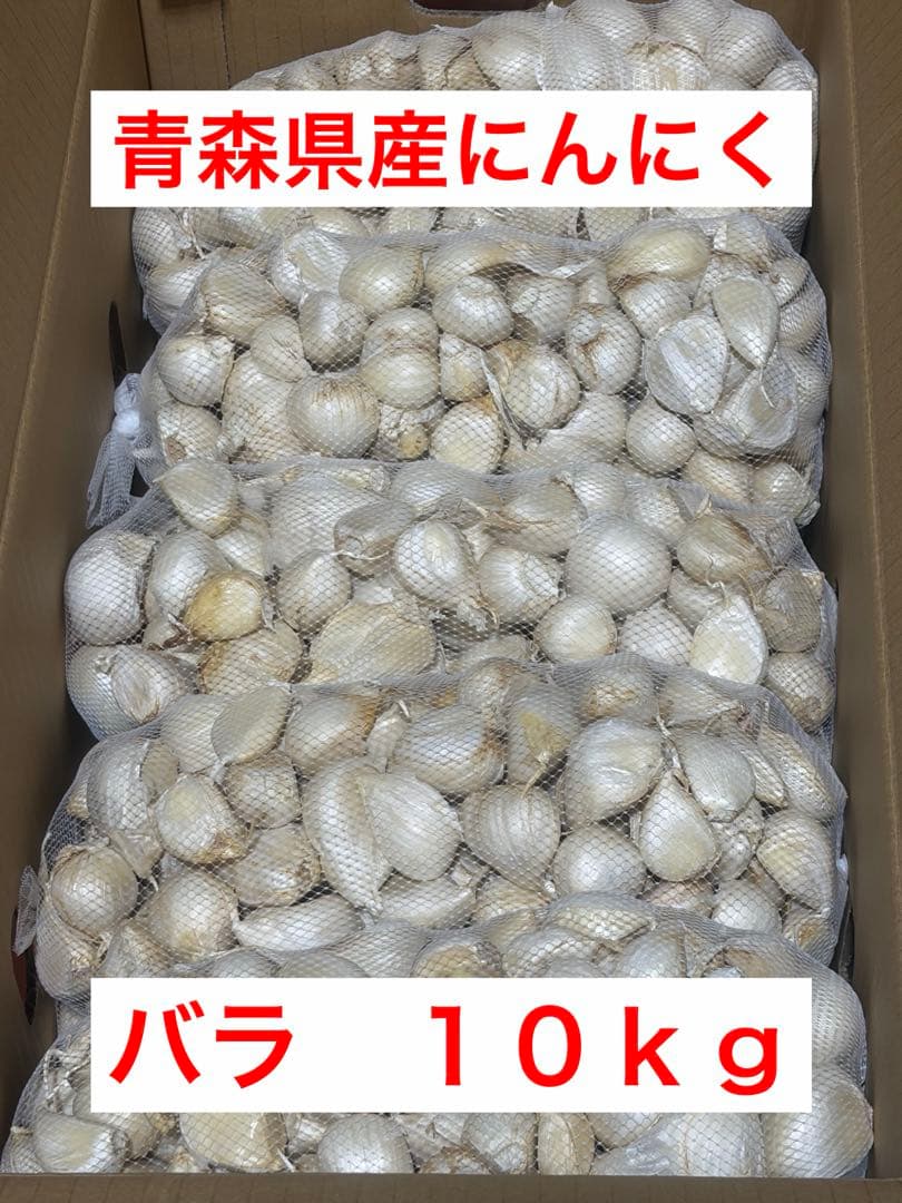 青森県産にんにく　バラ　中小　１０ｋｇ