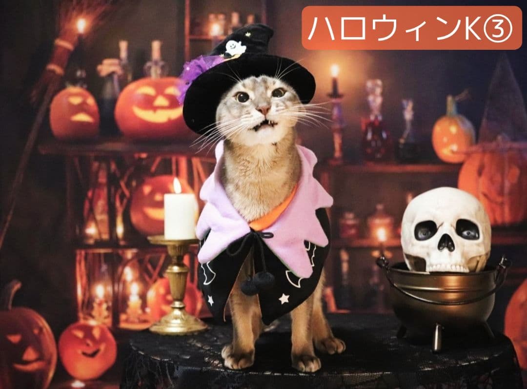 背景布　【　ハロウィン I　】　サンプル　お月見さん、十五夜、9月