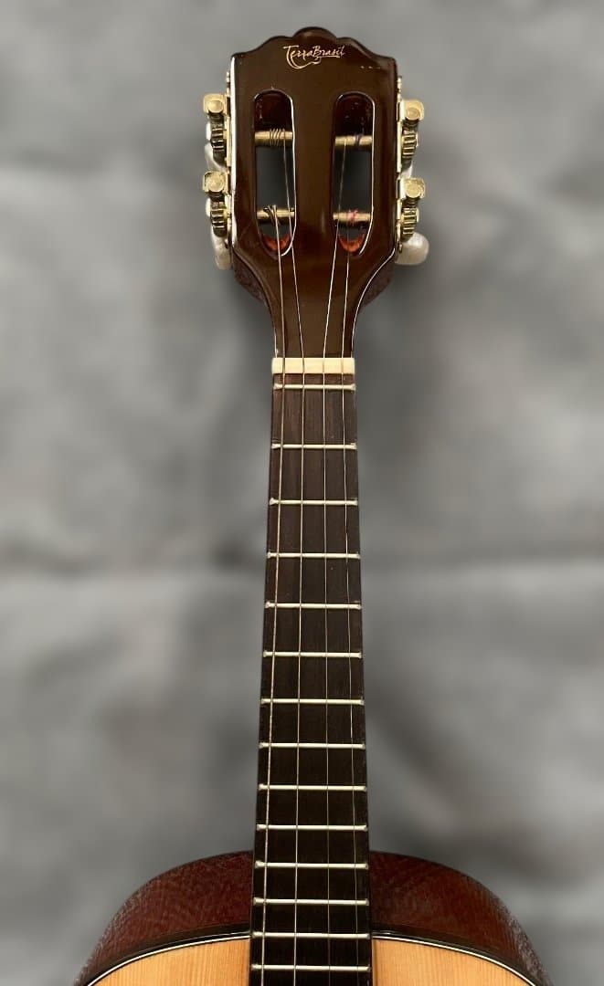 Terra Brasil Cavaquinho ピックアップ内蔵カヴァキーニョ
