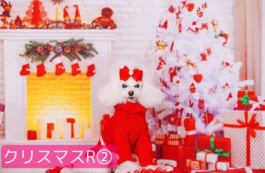 業務用トリミングチョーカー+背景布　クリスマスツリー　ペットサロン　雪　犬
