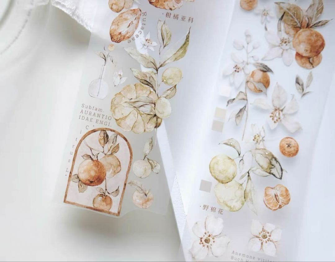 ⭐️SALE⭐️ 雀斑茶《橘枳》海外マスキングテープ　マステ 【1336】