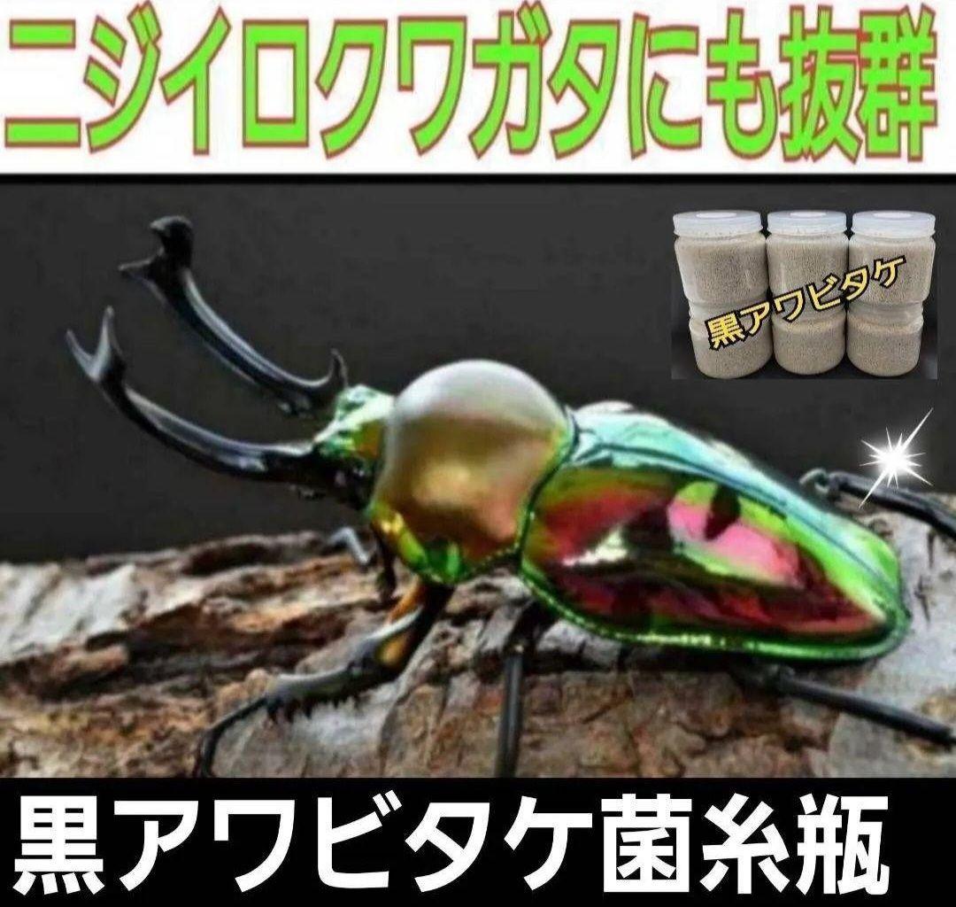 ニジイロクワガタに抜群！極上！黒アワビタケ菌糸瓶【8本】トレハロース強化配合！