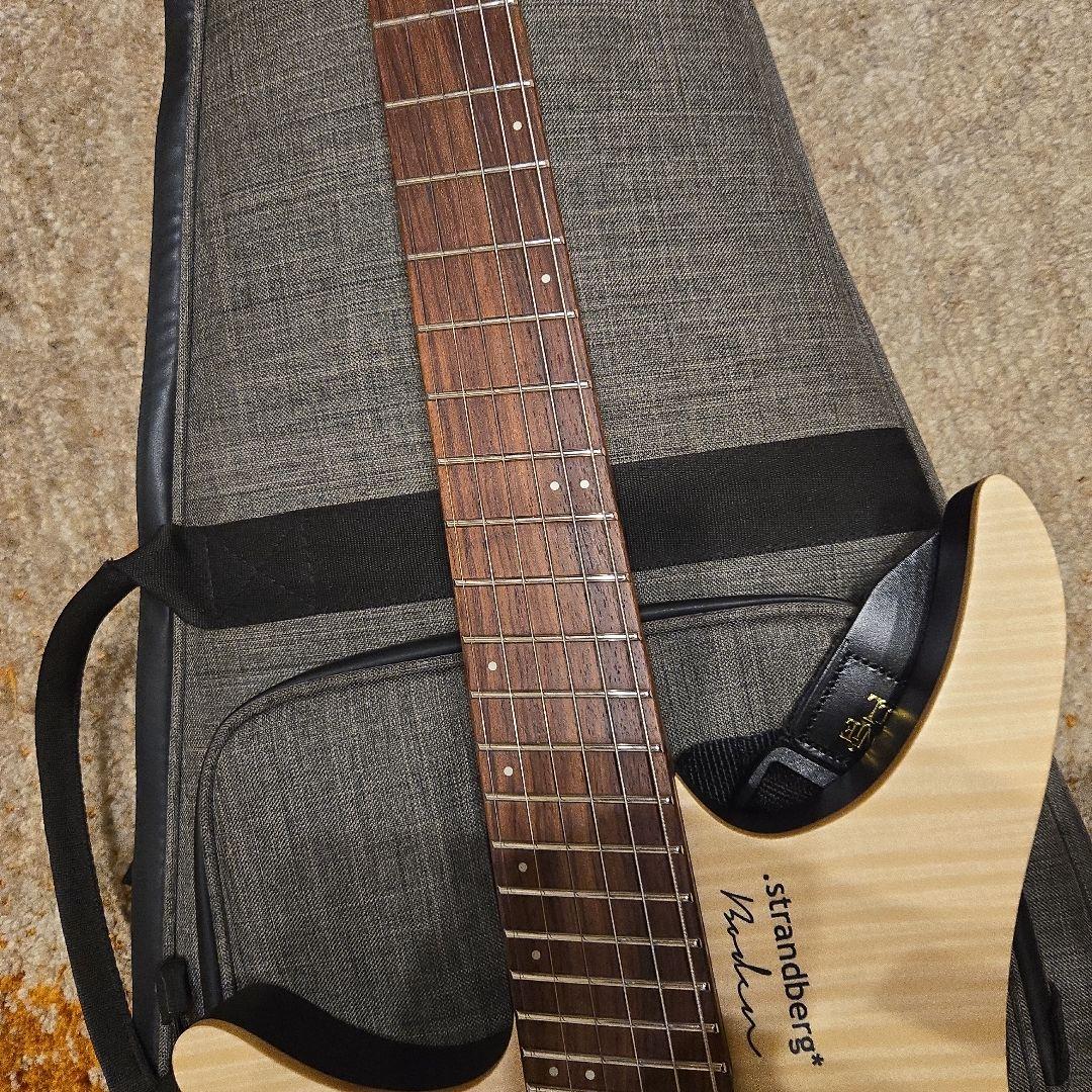 ギター strandbergBodenStandard NX6