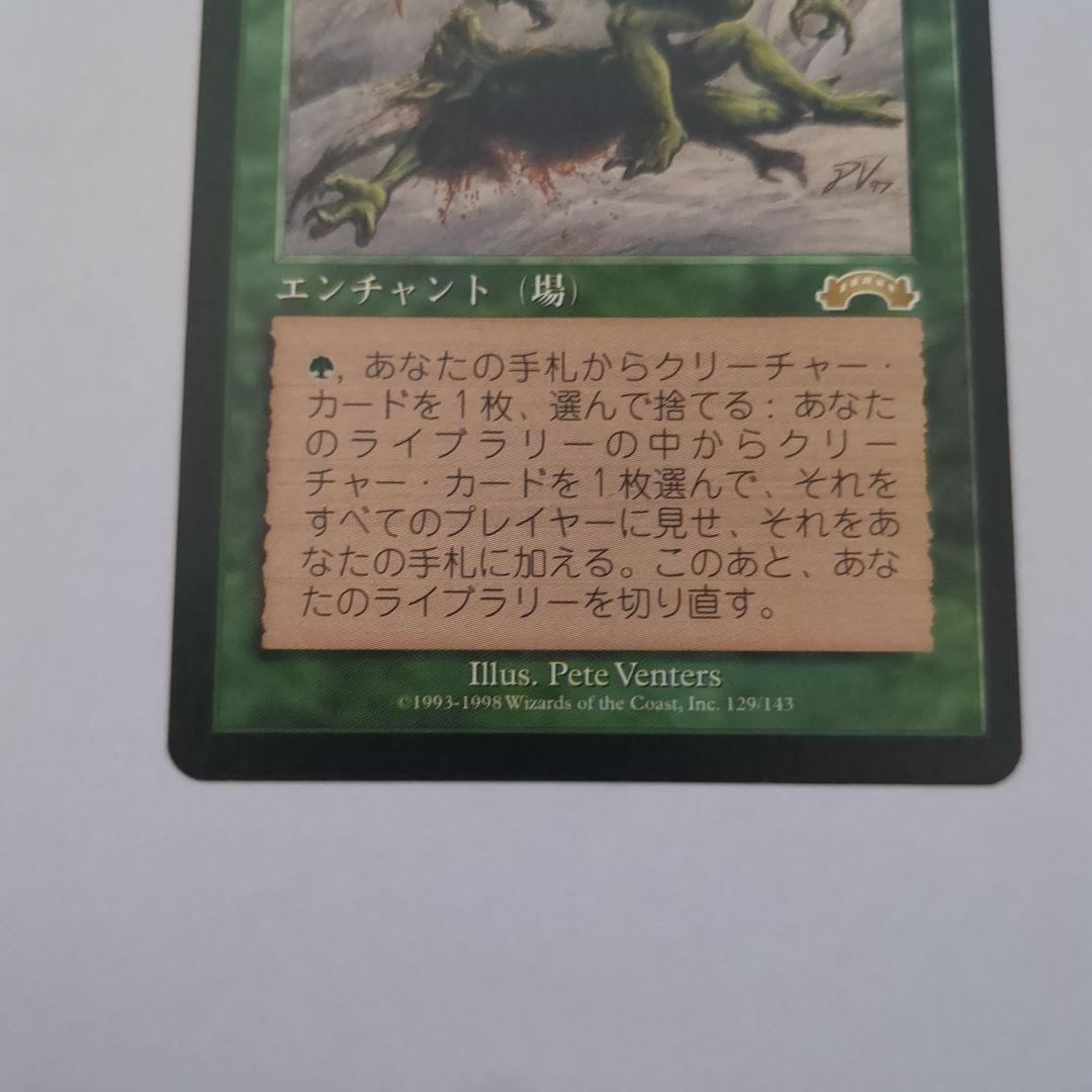 MTG 適者生存　日本語版1枚