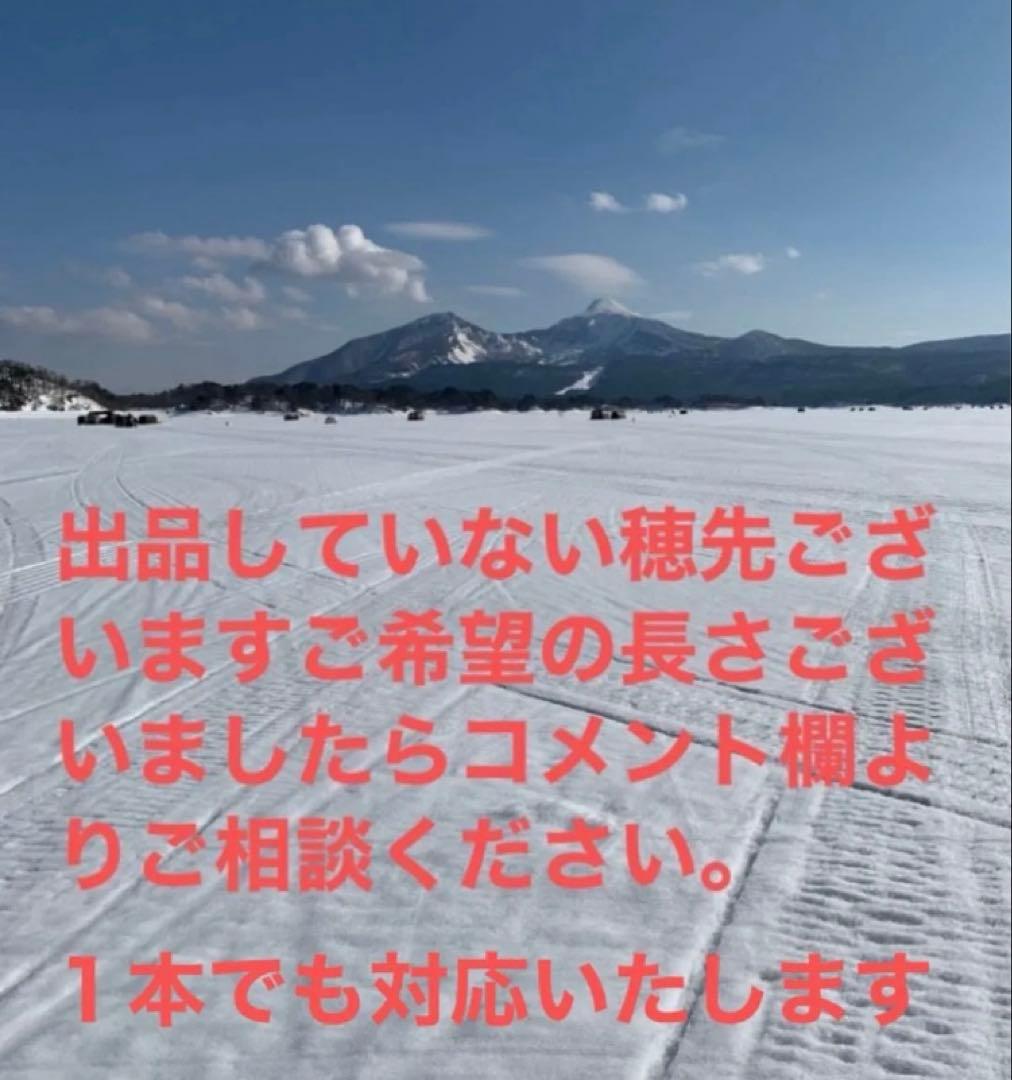 ワカサギステンレス穂先　　　２５８ミリ　　２本