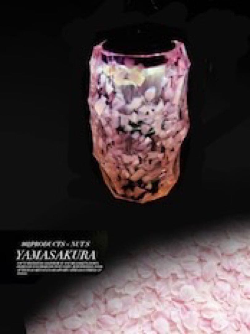 【BRIESTA ブリエスタ】 YAMASAKURA 山桜 新品未開封品