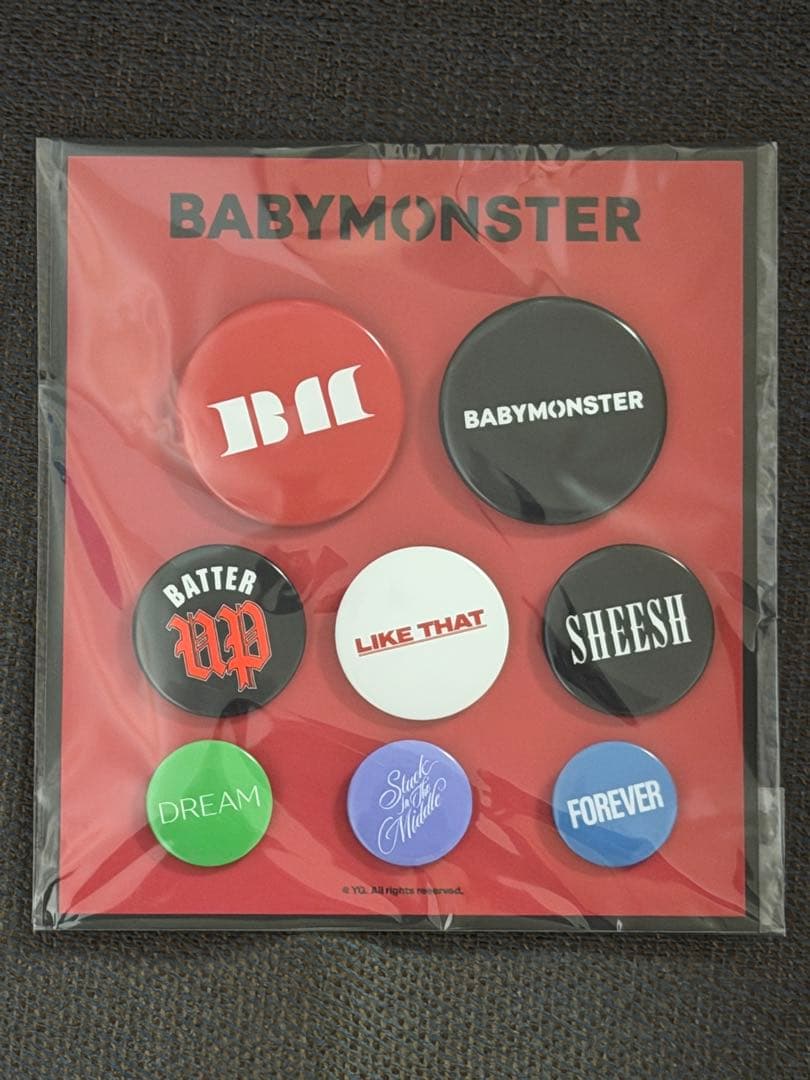 最後の値下げ！希少価値有！ベビモン 缶バッチセット babymonster