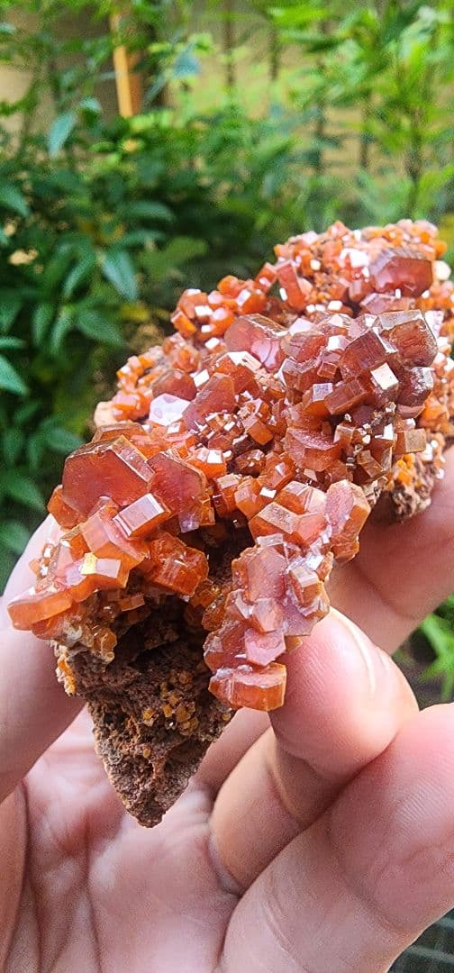 バナジナイト　ホルダー付き