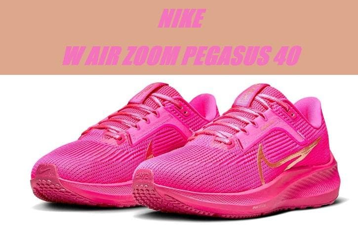 27㎝ ナイキ エア ズーム ペガサス 40 DV3854-601 ウィメンズ