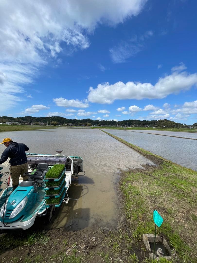 令和7年千葉県いすみ市産コシヒカリ　白米　10キロ　#天皇献上米