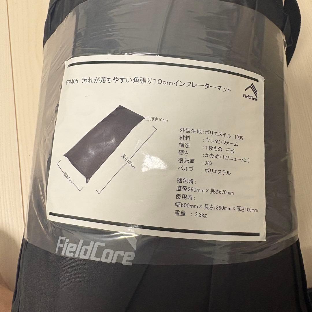 ワークマン　FieldCore 10cm インフレーター マット ブラック