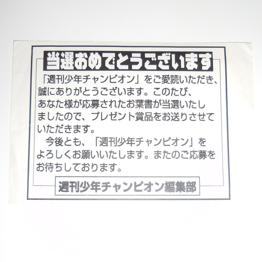 指原莉乃 希少水着チェキ 直筆サイン入り AKB48 HKT48