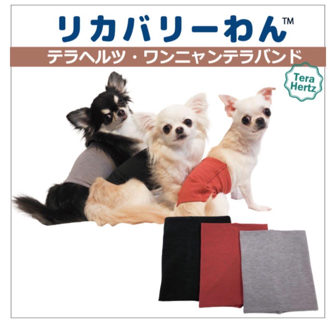 犬リカバリーグッズ 爆売れ人気商品!　 テラヘルツ・ワンニャンテラブランケット