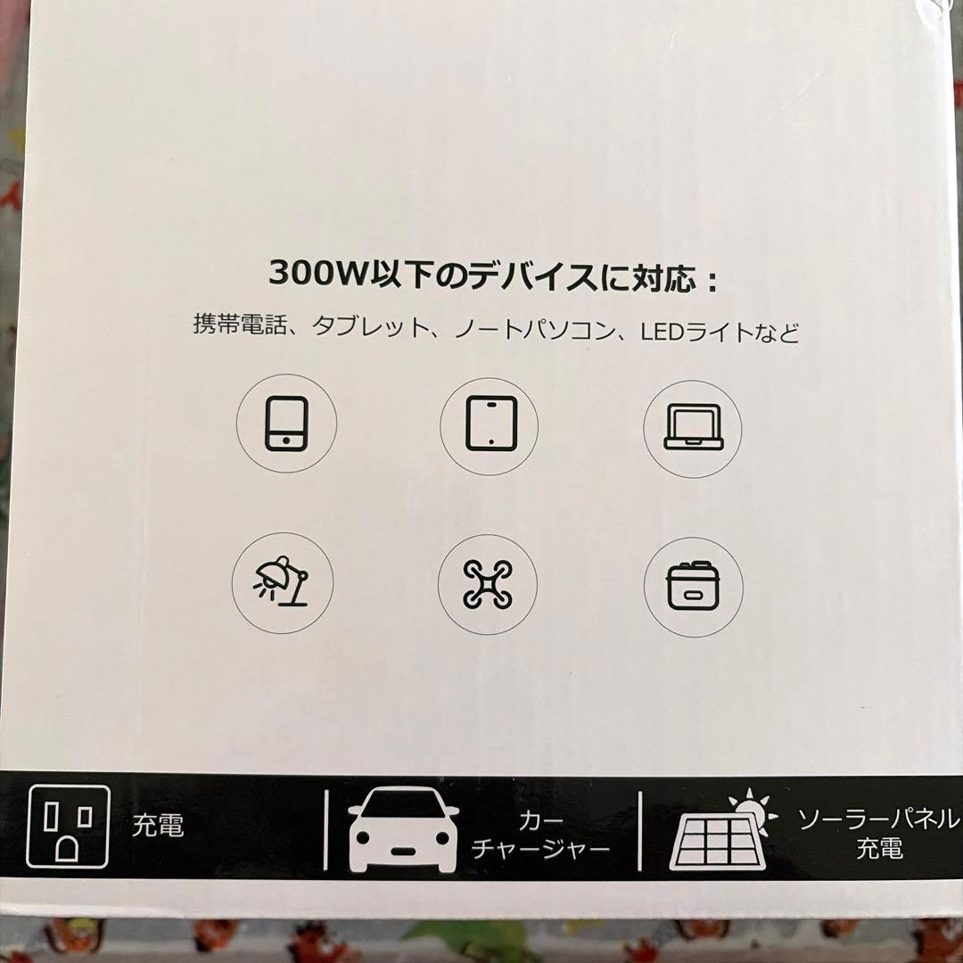 ポータブル電源 小型 256Wh 300W 新品