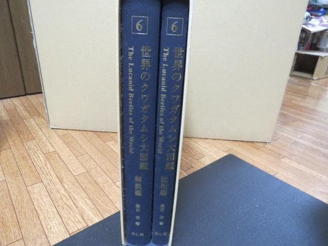 世界のクワガタ虫大図鑑　最終！！むし社　ビークワ　クワガタ