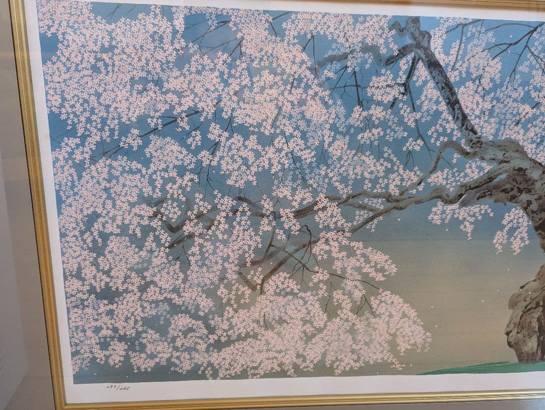 中島千波「常照皇寺の九重桜」リトグラフ(石版画)