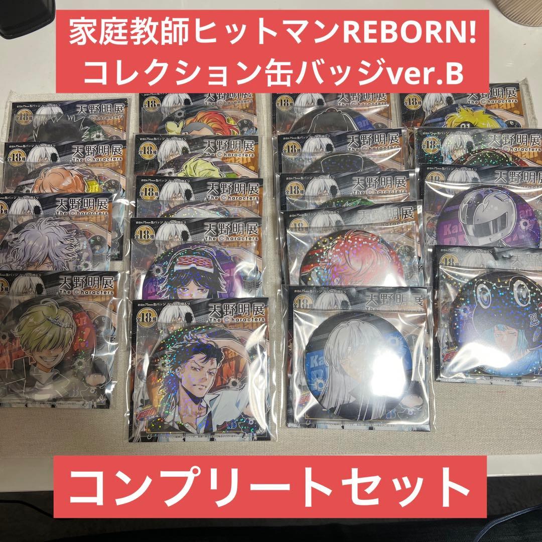 【全キャラコンプ】天野明展 家庭教師ヒットマンREBORN!缶バッジver.B