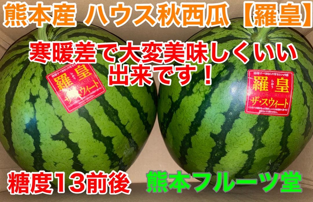 甘くて最高！熊本産秋西瓜 羅皇 2Lサイズ2玉セット(15-17k箱込)