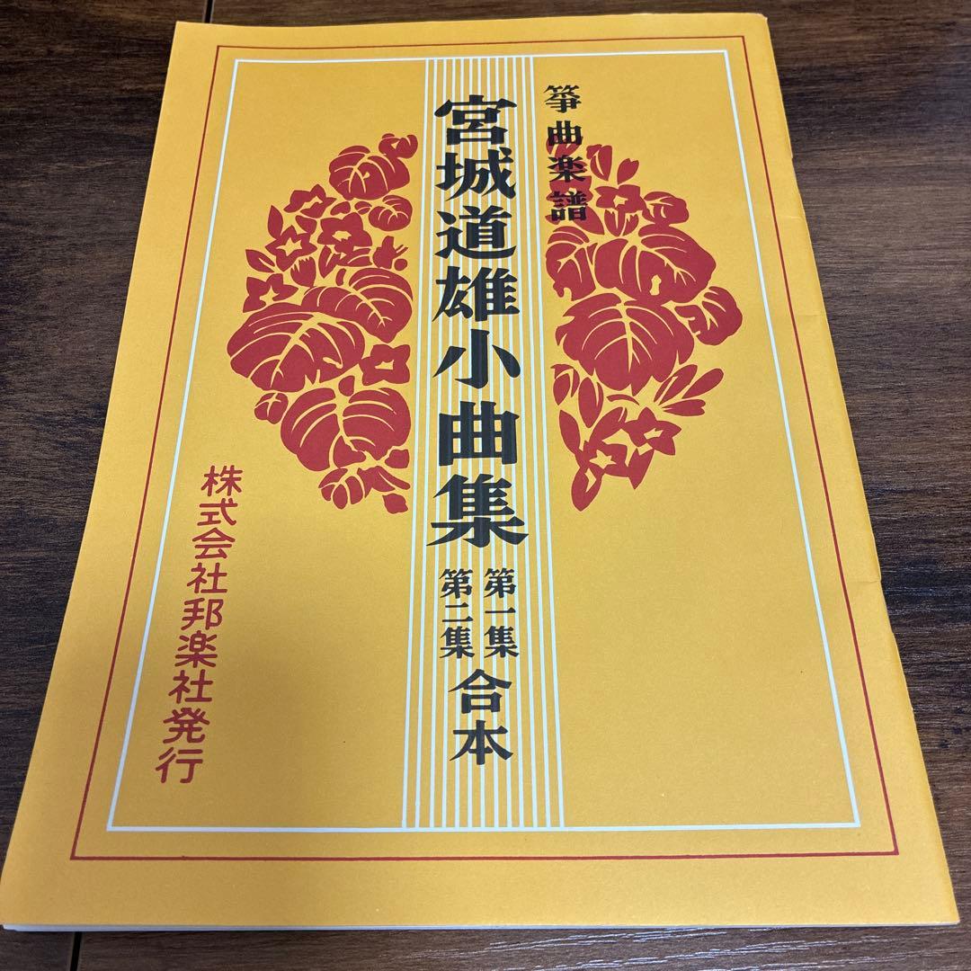 琴爪　樹脂製　初心者向け　装飾ケース付き