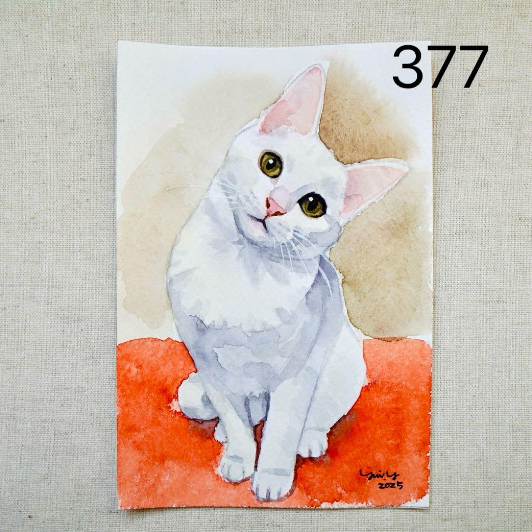 猫の絵 377 水彩画 原画 白猫 ポストカードサイズ