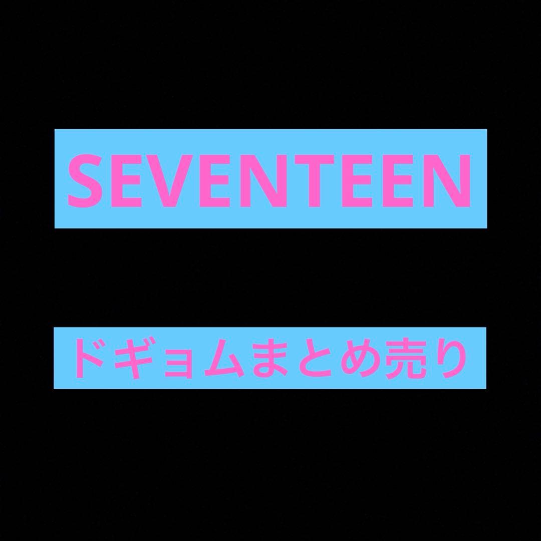 SEVENTEEN ドギョムまとめ売り