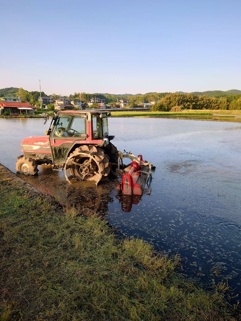 令和7年 新米！精米無料！玄米20キロ 栃木県大田原 黒羽産コシヒカリ 20㎏