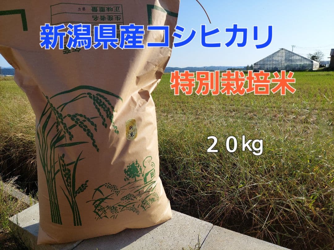 新潟県産コシヒカリ 特別栽培米 20kg（従来コシヒカリ）