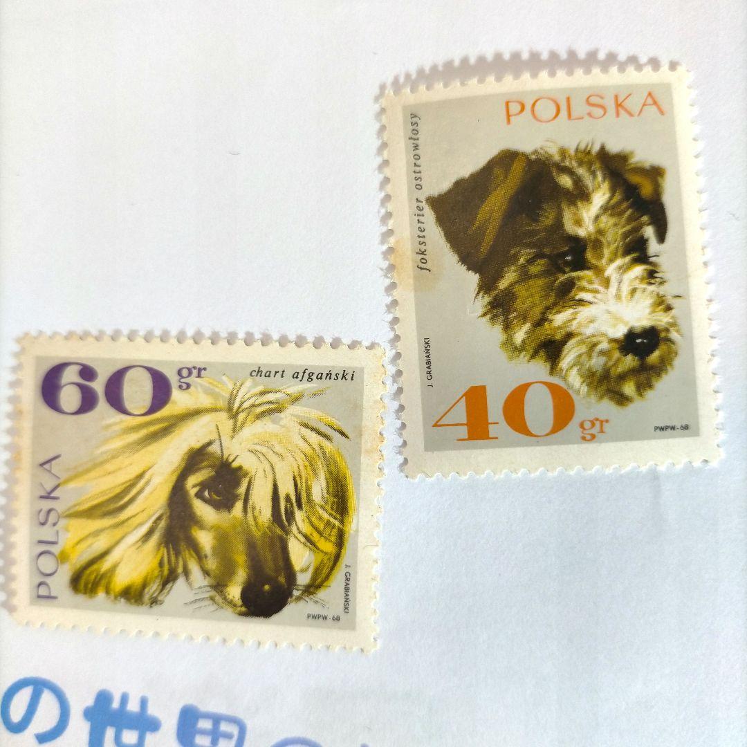 2467 外国切手 ポーランド 1969年 犬々 シーズ 8種 未使用