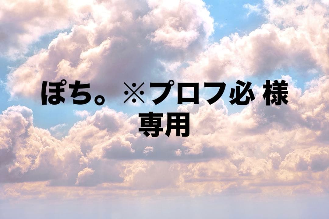 ぽち。※プロフ必 出品