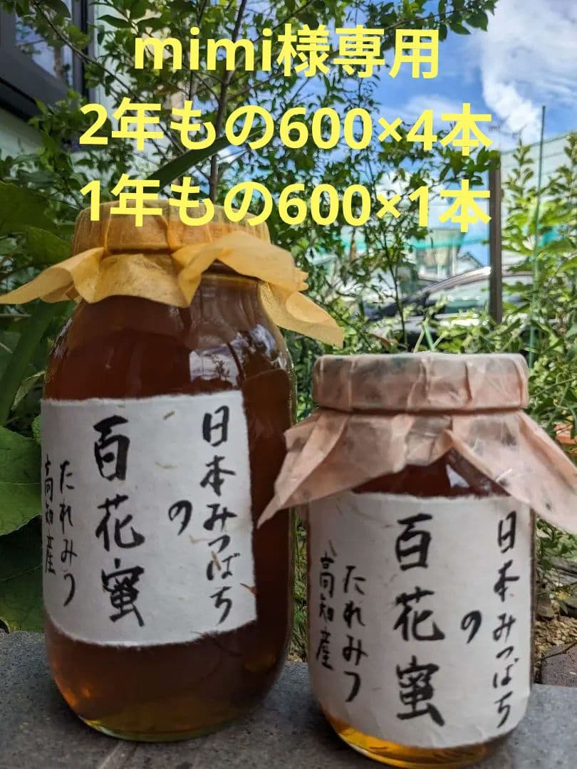 日本ミツバチ 蜂蜜 令和7年 採れたて 計600g×5本 たれ蜜 非加熱百花蜜