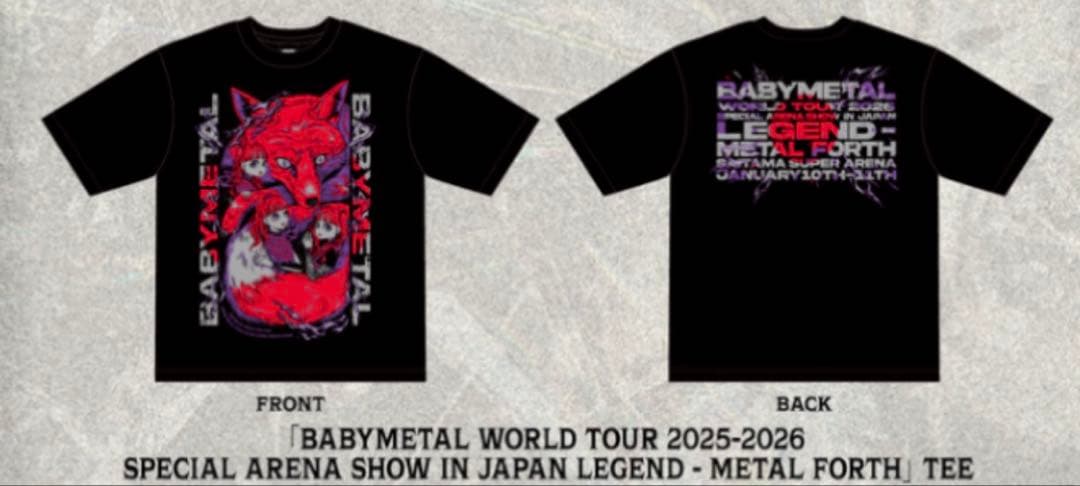 BABYL L FOUTH WORLD TOURTシャツLサイズ