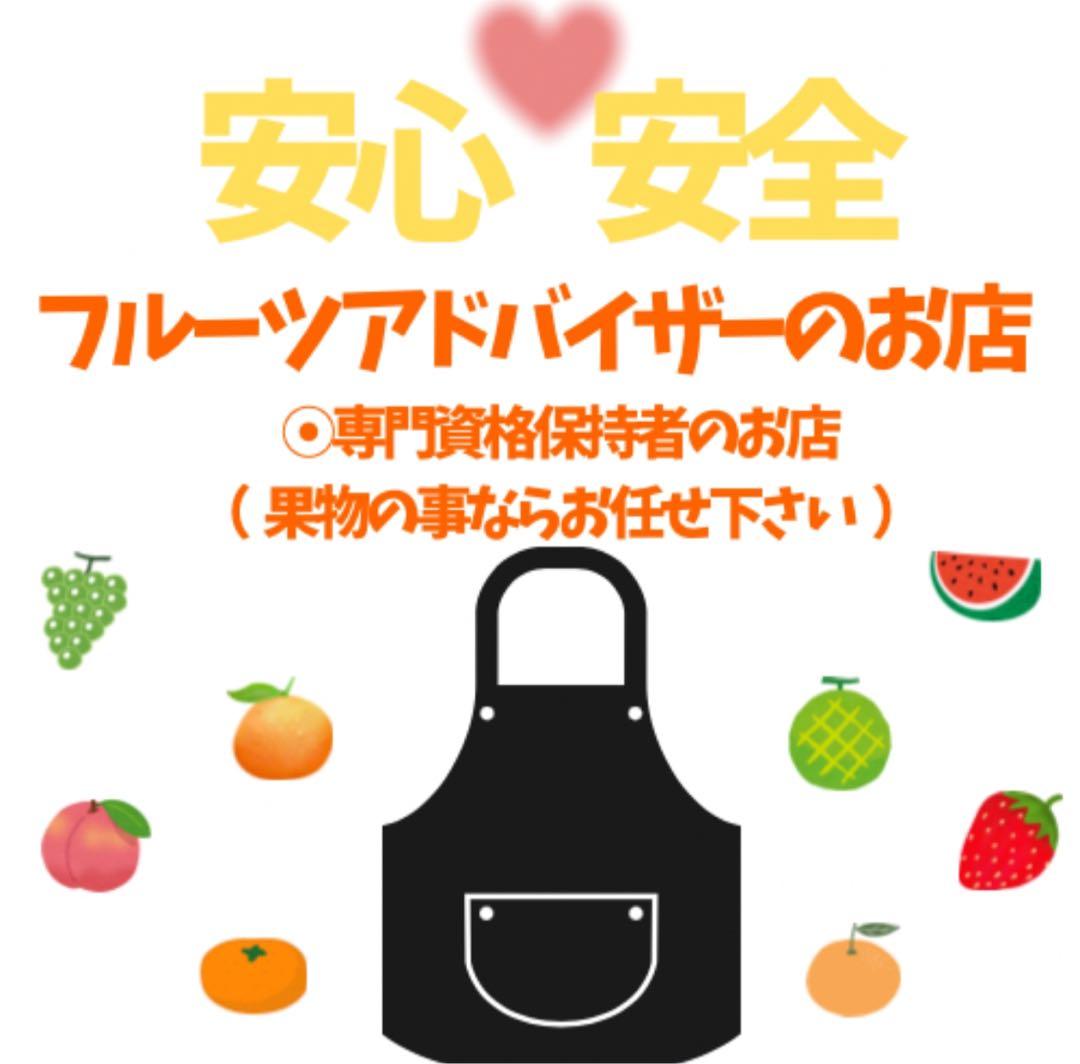 ㉒高知特産 露地栽培 土佐文旦 4L限定 文旦 約20kg 大玉 サイズ