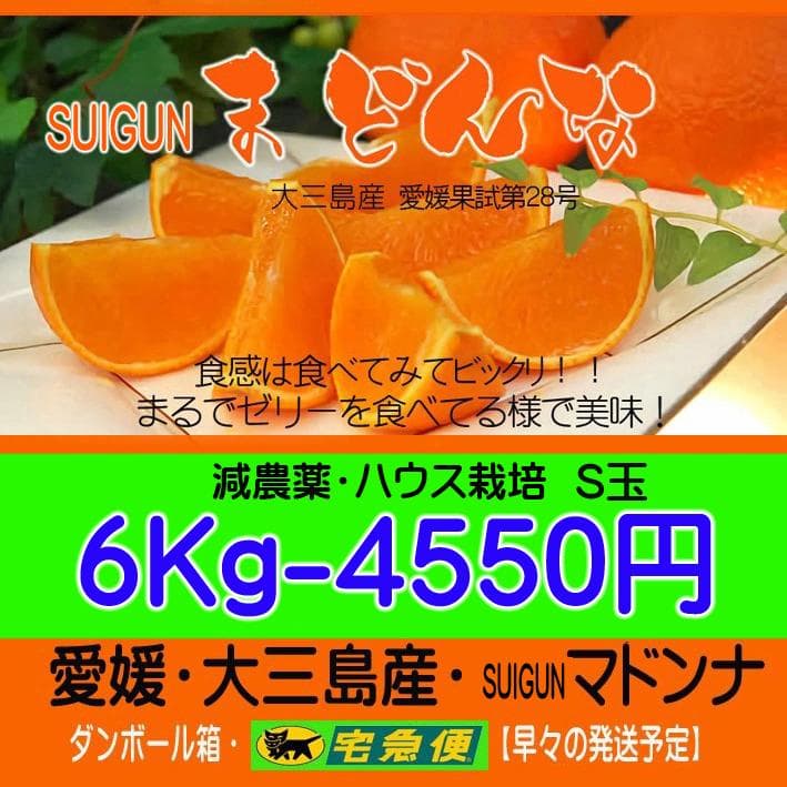 【りょう】SUIGUNマドンナS6Kg　2か所送り