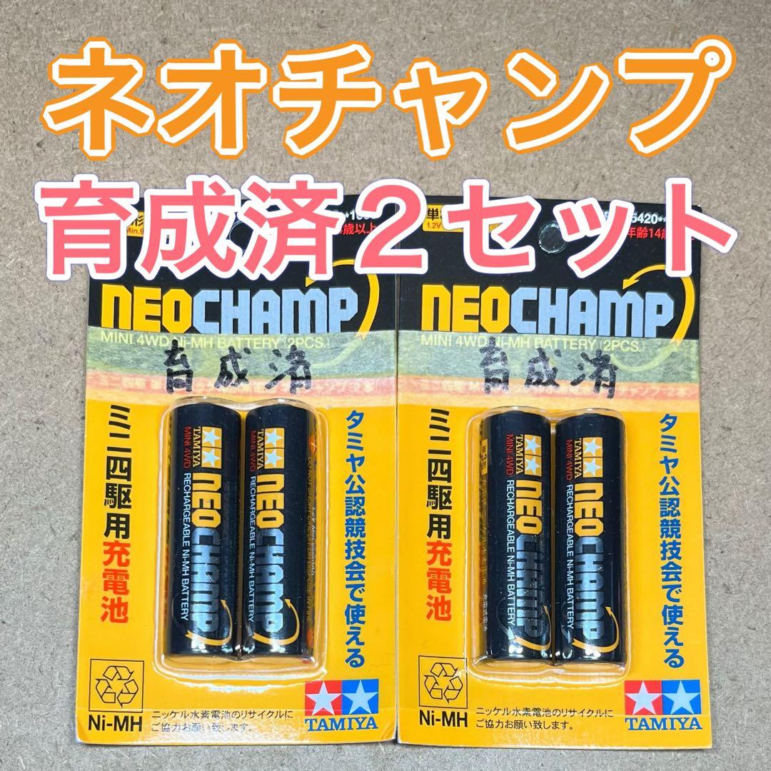 メガネ野トシページ高回転高トルクマッハダッシュ育成済みネオチャンプ2セット