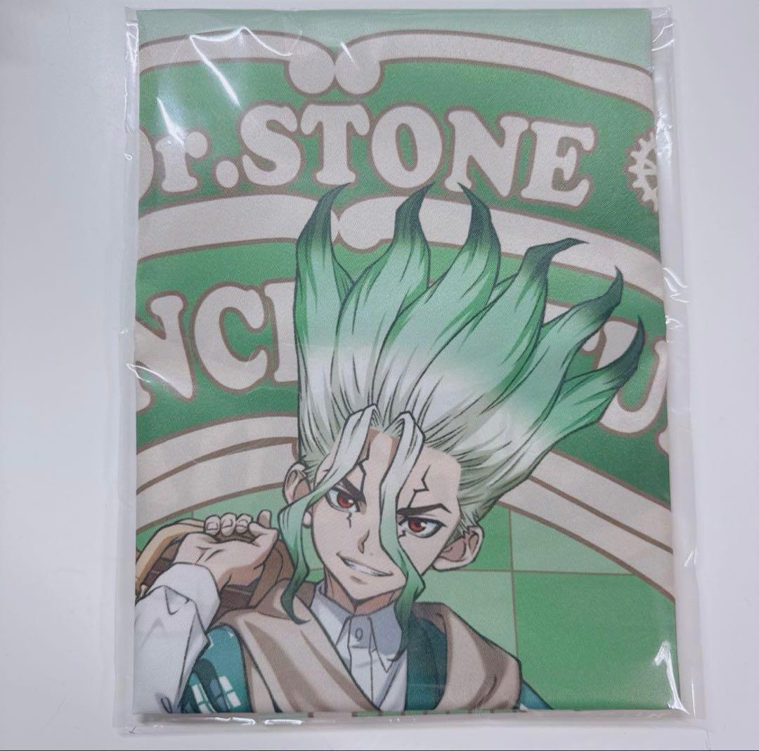 Dr.STONE 石神千空 ポスター ポストカード バラ売り可能