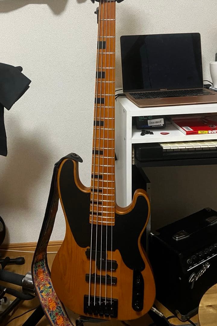 ベース SCHECTER MODEL-T SESSION-5