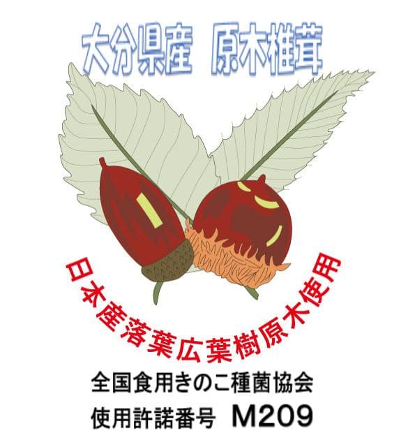 なおぽんさまご予約専用 大分県特産 生どんこ椎茸「秋子」ダブル1st