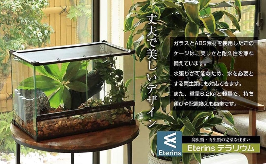 【donmeron】Eterins 爬虫類　ケージ　中型