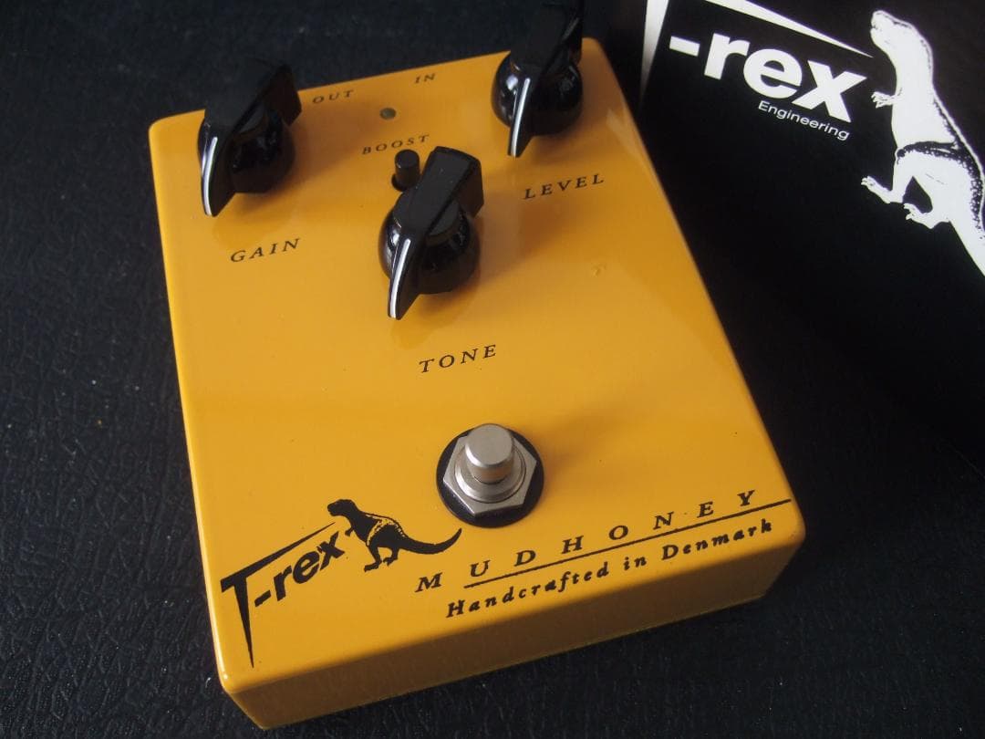 最初期 恐竜ロゴ T-rex MUDHONEY Trex Proco RAT